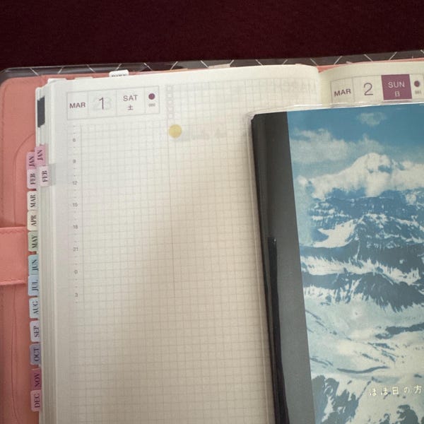 Payment Tracker Post-it Notes | Finance Sticky Notes | Bill Pay Sticky ...