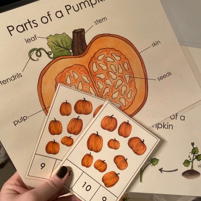 Pumpkin Mini Unit Study - Etsy
