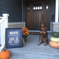 PRINTABLE Announcing Baby Guard Dog Duty Chalkboard Pregnancy ...