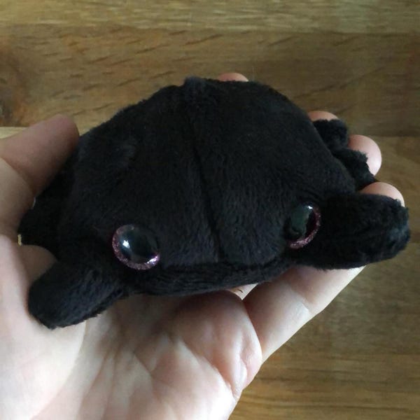 Sky Blue Baby Blue Baby Bean Frog. Baby Bean Froggy Friend. Stress ...