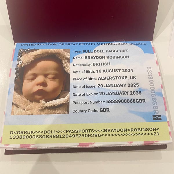 American Teddy Bear Passport - Personalised Passport for American ...