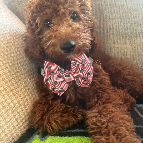 Cincinnati Reds Bandana / Cincinnati Reds / Dog • Cat Bandana / Pet ...