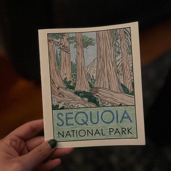 Saguaro National Park Coloring Page - Etsy
