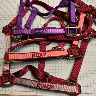 Personalized DRAFT ONLY Horse Halter, Halter, Monogrammed Horse Halter ...