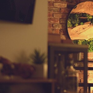 25 Bleached Bunny Tails Or-chocolate Bunny Tails-dried Floral ...