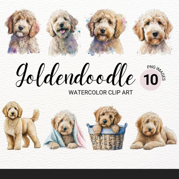 Cockapoo Clipart | Cute Dog Clipart | Dog PNG | Watercolor Cockapoo PNG ...