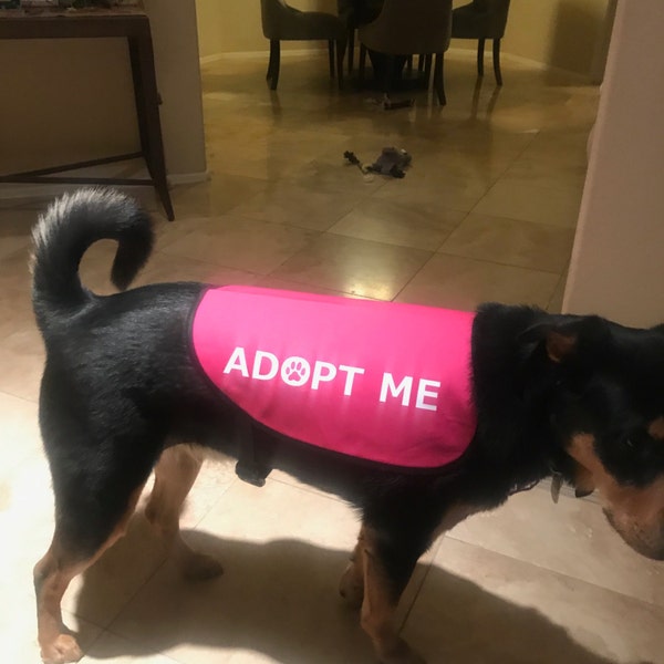 5-pack Adopt Me Dog Jackets Vests - Mix & Match - Etsy