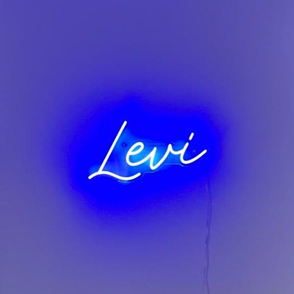 Custom Aesthetic Wedding Sign, Custom Neon Sign, LED Light Sign, Room ...