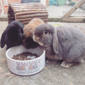 Personalised Rabbit Bowl Rabbit Christmas Gift New Rabbit Present Bunny ...