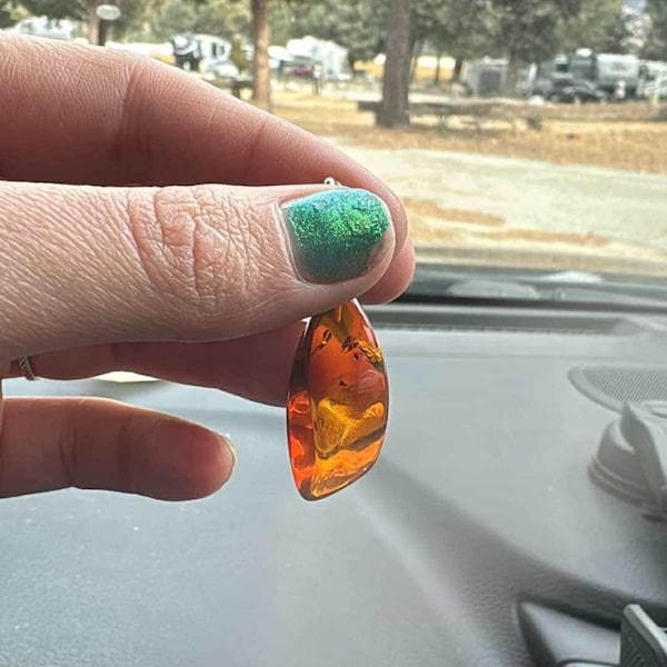Large Amber Stone Collectors Specimen, Amber for Display, Large Palm ...