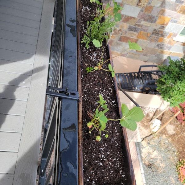 Cedar Railing Planter Box With Brackets, Balcony Planter Box, Hanging Planter Box, Deck Rail ...