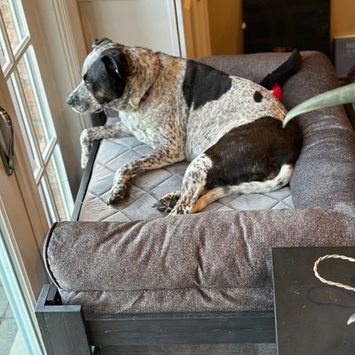 Unfinished Pet Ramp With Slats for Traction Wood Dog Ramp Pet Furniture ...