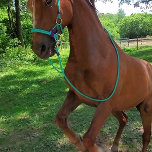 Rope training reins with knots | Etsy