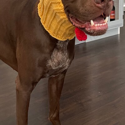 Rooster Chicken Dog Snood Knit Crochet Dog Hat Easter Dog Costume Ear ...