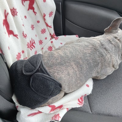 Dog Hygiene Knickers / Dog Season Pants Handmade by Me MADE TO ORDER by ...