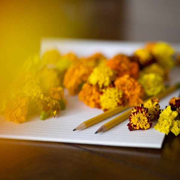 Fresh Edible Flowers Marigold 50 Ct - Etsy