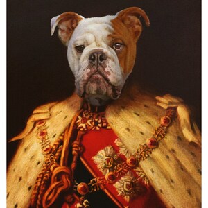 Social Media Animation, Lower Third for Youtube, Subscribe Like Notification Button, Intro Vlog ...