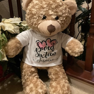 Teddy Bear Gift, Breast Cancer Gift, Fight Cancer, Plush Stuffed Bear ...