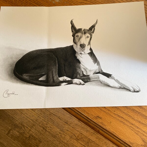 Custom Pet Portrait, Pet Memorial, Gifts, Cats, Cat Drawing, Charcoal ...