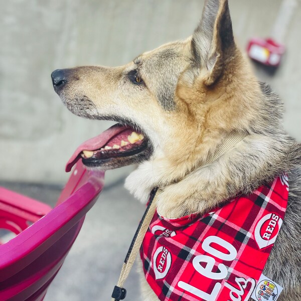 Cincinnati Reds Bandana / Cincinnati Reds / Dog • Cat Bandana / Pet ...