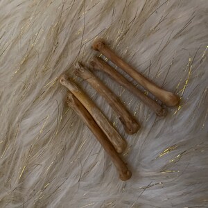 Real Crow Feet/talon Claw Earrings Bird Feet Animal Bone Jewelry E390 ...
