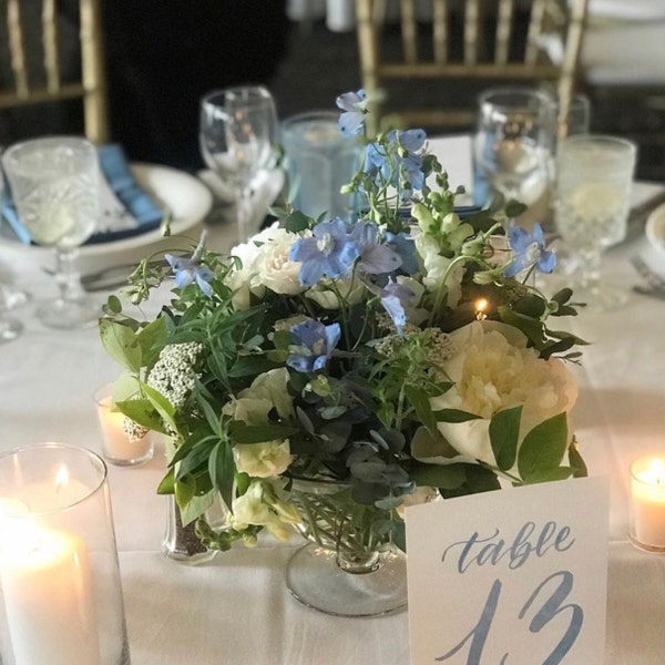 Hairline Style Modern Calligraphy Alphabet Practice Sheets | Modern ...