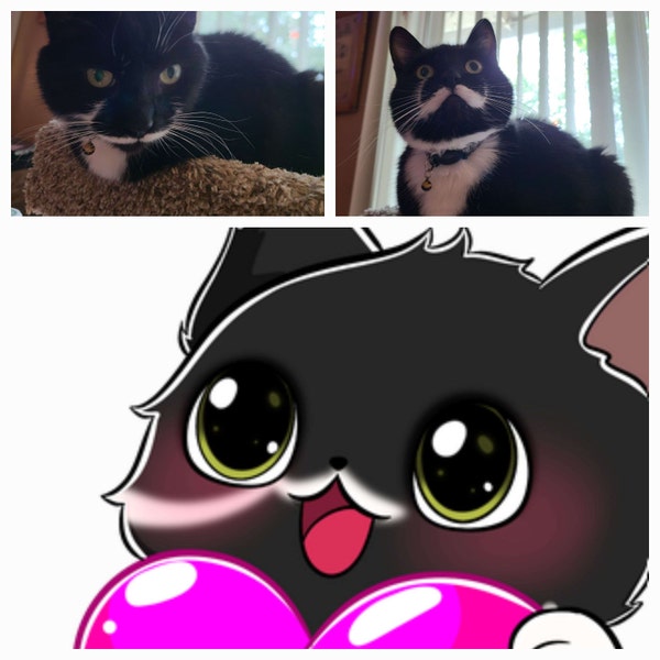 42 CUSTOM CAT Twitch Chibi Emotes - NEW Pet Emotes | Emot Twitch Emote ...