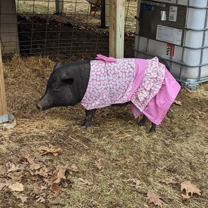 Mini Pig Double Blizzard Fleece Coats With a Flip up Collar to | Etsy