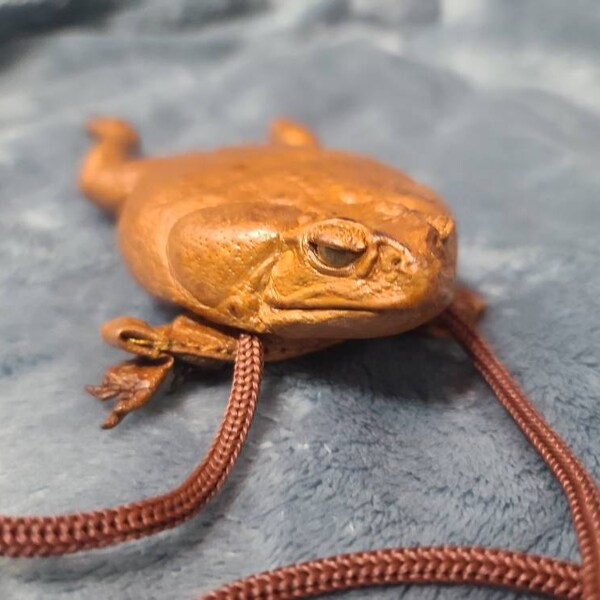 Rootin’ Tootin’ Mini Harmonica Accessory for Real Cane Toad Leather ...
