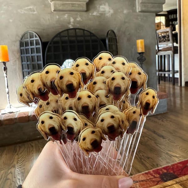 Wedding Pet Stir Sticks, 50 Pcs Double-sided Dog Stir Stick, Watercolor ...