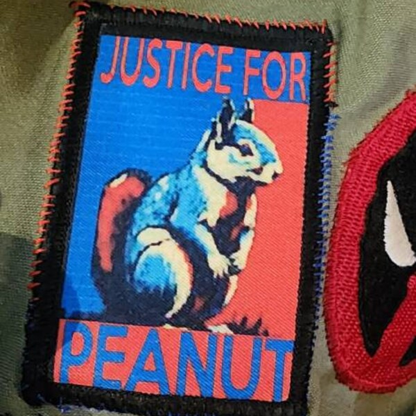 Calico Jack Pirate Flag Morale Patch Hook and Loop 2x3 - Etsy