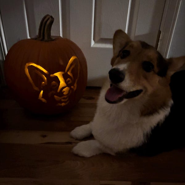 Printable Pumpkin Carving Pattern: Corgi - Etsy