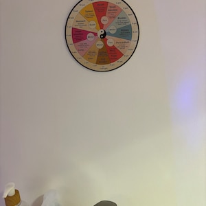 Chinese Medicine Meridian Organ Body Qi Clock TCM Associations Five ...