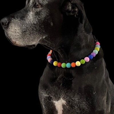 Beaded Dog Collar, Fancy Cat Necklace, Waterproof Dog Collar, Girly ...