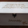 Cat Keepsake Box cat Memorial Pet Urn personalized Pet Urn pet Memory ...