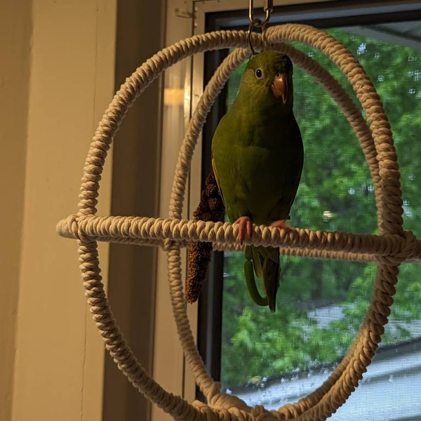 Extra Large Parrot 3 Ring Orbit Swing - Etsy