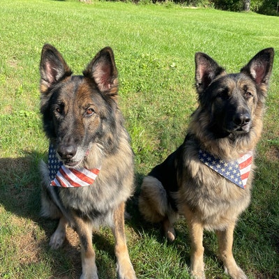 American Flag Dog Bandana, Slides Over the Collar, Cat Bandana, Dog ...