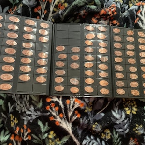 Huge Elongated / Pressed Penny Book Holds 144 Coins - Etsy