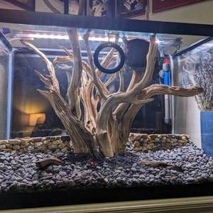 Handmade Natural Stone Tank Decor Swim Through Tunnel Hide - Etsy