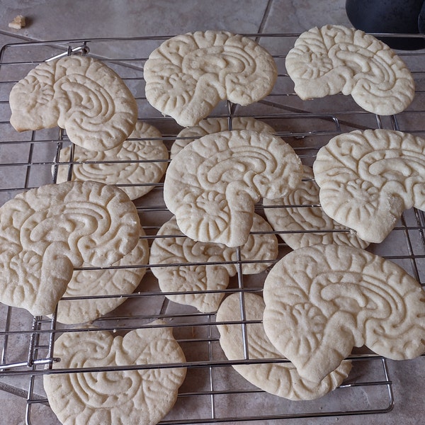 Anatomical Brain Cookie Cutter | Heart Cookies Cutters | Biscuit Cutter ...