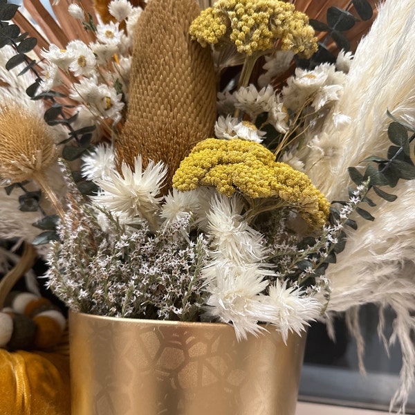 Dried White Everlasting Strawflowers, Daisy, Dried Flowers, Natural ...