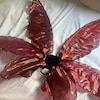 Crysta Fairy Wings, Fern Gully, Small and Sweet - Etsy Canada