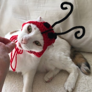 Alien Cat Costume | Etsy