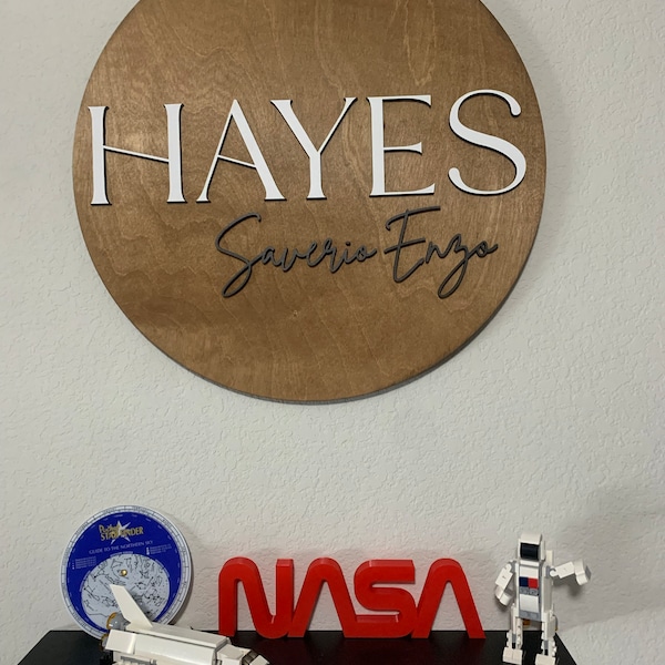 3D Printed NASA Worm and Meatball Displays for Wall or Desk - Etsy