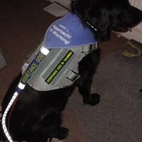 Royal Engineer Search Team TRF Badge TF107 - Etsy UK