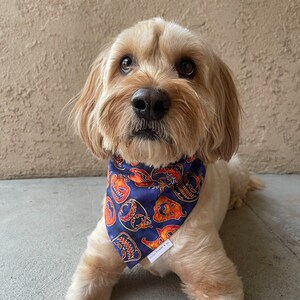 Jaws and Claws Reversible Summer Snap on Dog Bandanas - Etsy