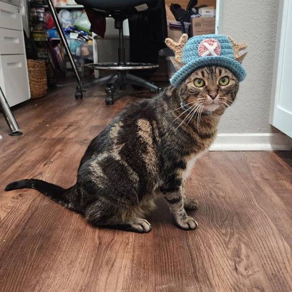 One Piece Anime Handmade Crochet Hat Tony Chopper Blue & Pink Hat ...