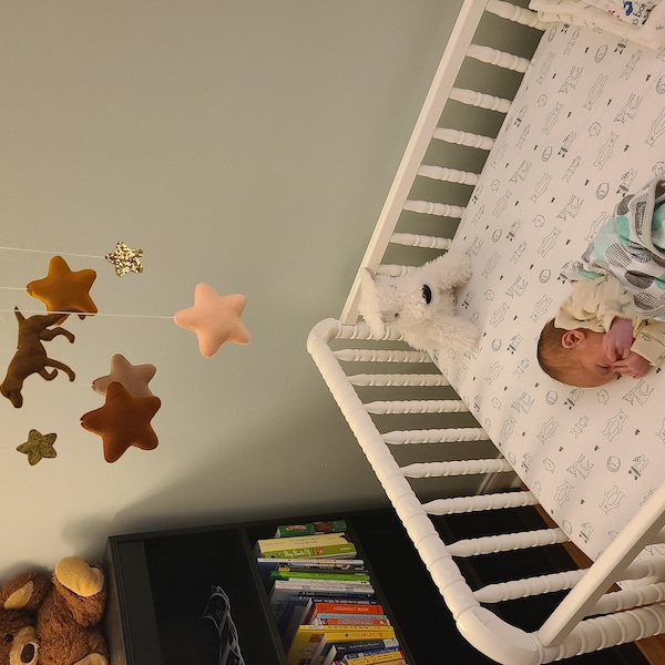 Duck Mobile for Crib, Mallard Duck Nursery Decor, German Shorthaired ...