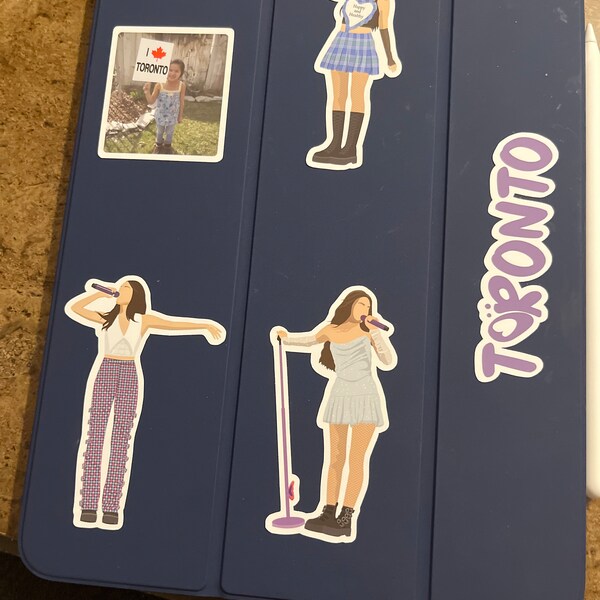 Gracie Abrams Inspired Sticker Pack 17pcs 1 Secret Sticker - Etsy