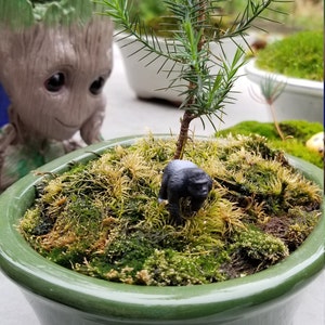 MINIATURE GORILLA Animals Figurine Figure Fairy Garden Dollhouse ...